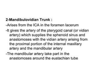 Interventional Neuroradiology: Anatomy of the internal carotid artery ...