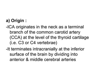 Interventional Neuroradiology: Anatomy of the internal carotid artery ...