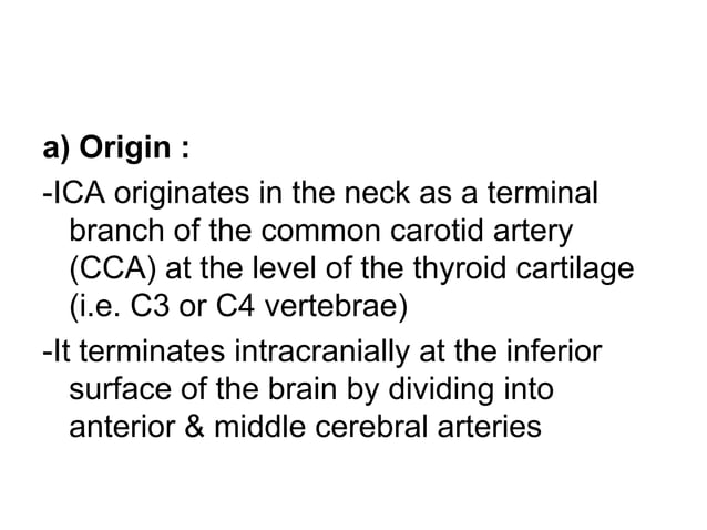 Interventional Neuroradiology: Anatomy of the internal carotid artery ...