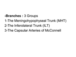 Interventional Neuroradiology: Anatomy of the internal carotid artery ...