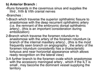 Interventional Neuroradiology: Anatomy of the internal carotid artery ...