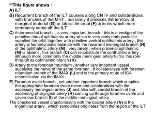 Interventional Neuroradiology: Anatomy of the internal carotid artery ...