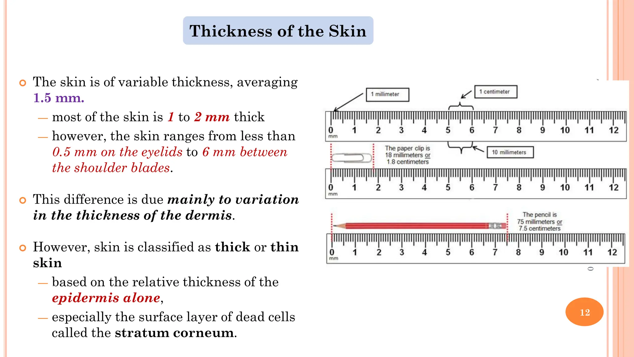 Anatomy II - Module 1- Student- Integumentary System-2021_075431.pdf