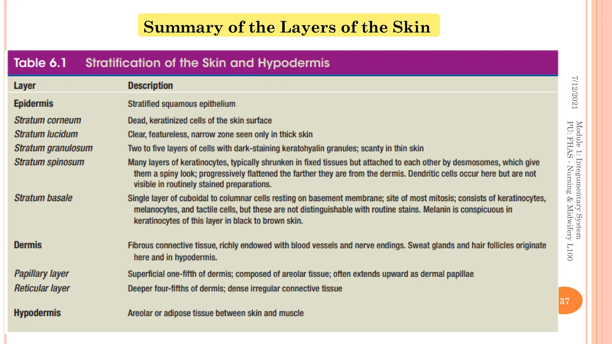 Anatomy II - Module 1- Student- Integumentary System-2021_075431.pdf