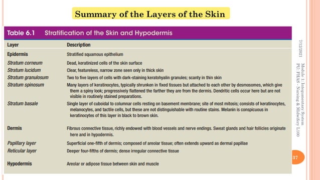 Anatomy II - Module 1- Student- Integumentary System-2021_075431.pdf