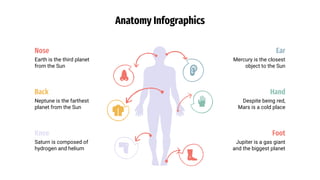 Anatomy Infographics.pptx