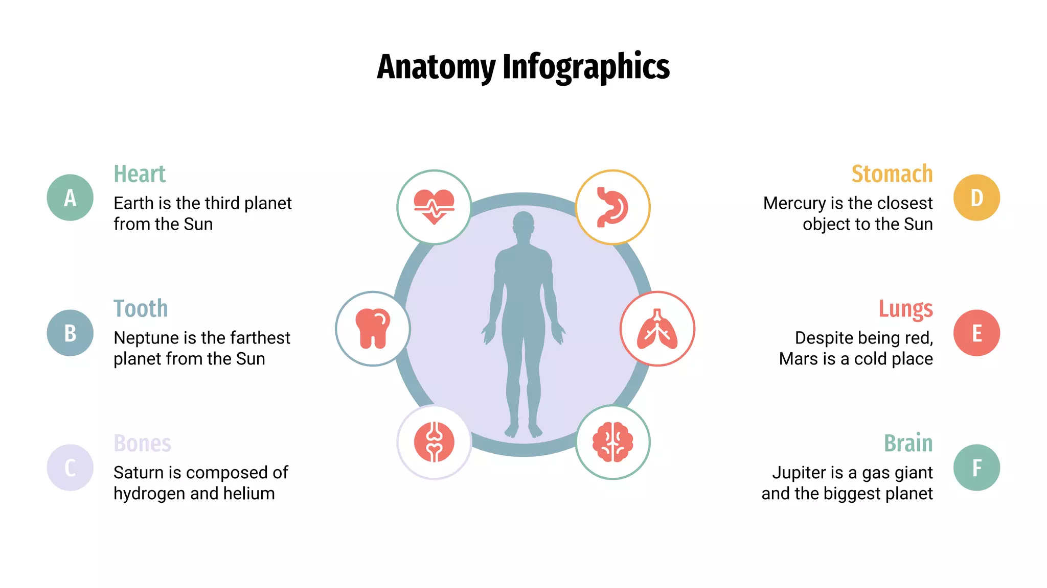 Anatomy Infographics by Slidego.pptx
