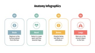 Anatomy Infographics by Slidego.pptx