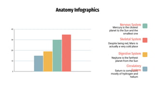 Anatomy Infographics by Slidego.pptx