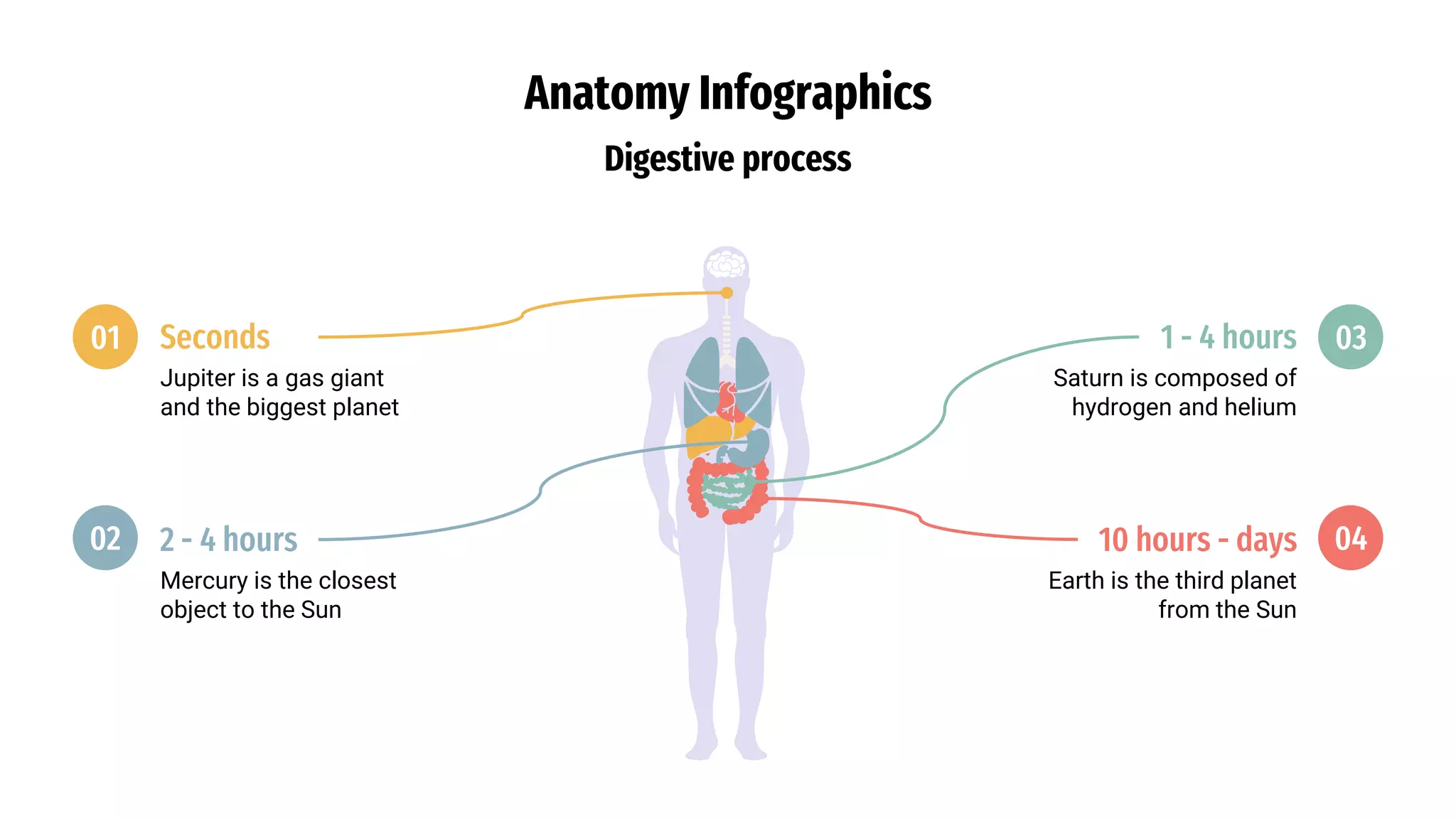 Anatomy Infographics by Slidego.pptx