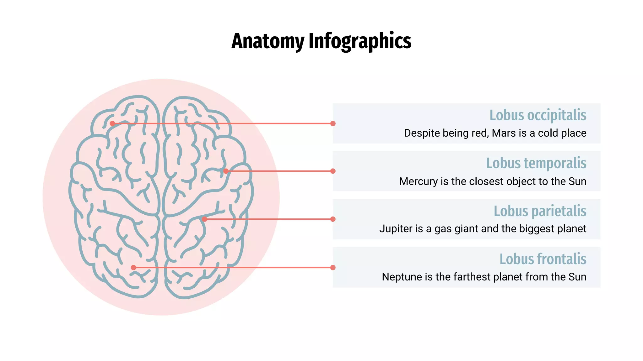 Anatomy Infographics by Slidego.pptx