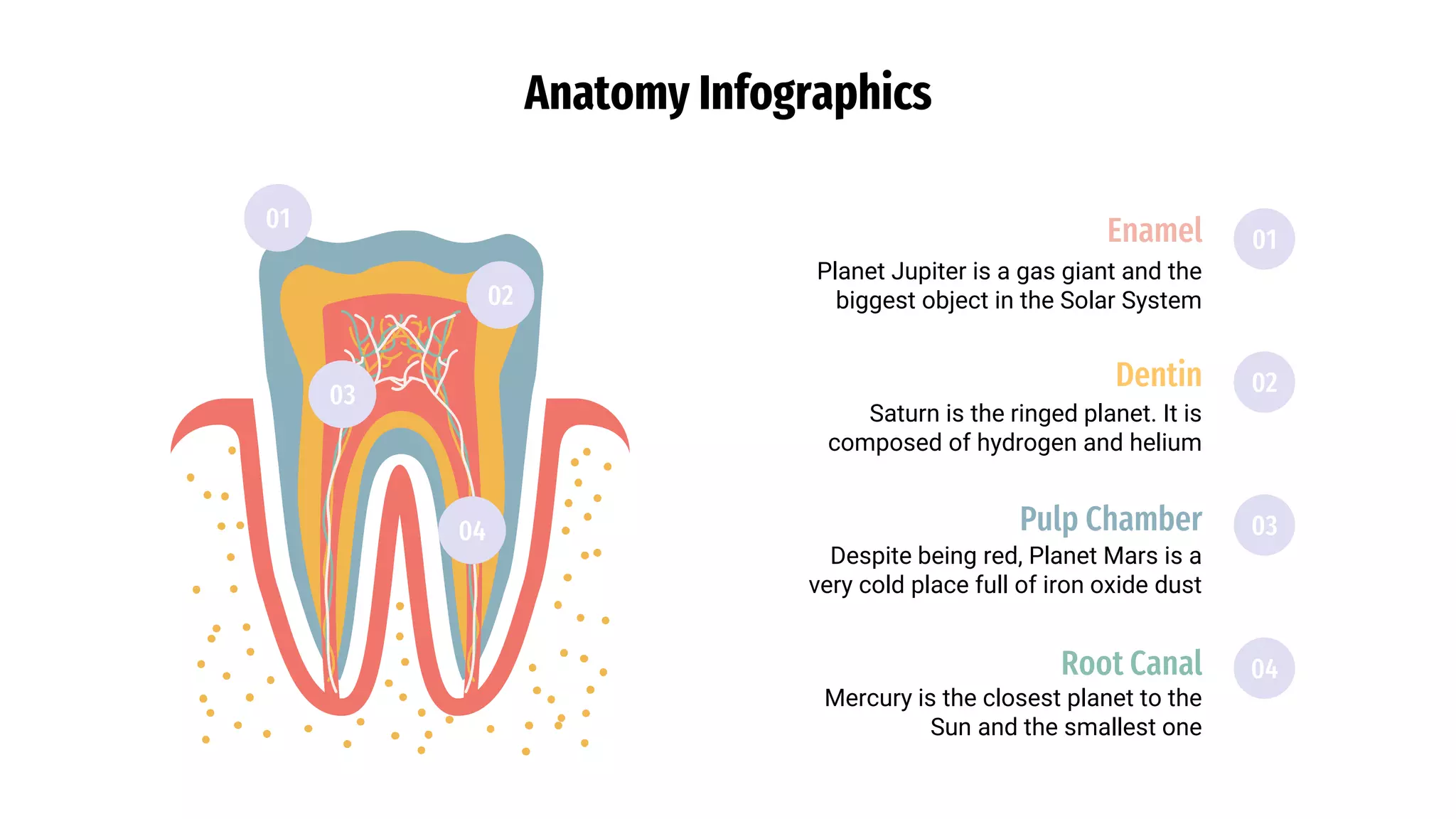 Anatomy Infographics by Slidego.pptx
