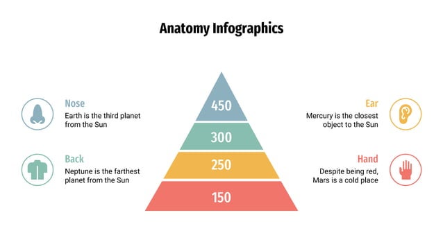 Anatomy Infographics by Slidego.pptx