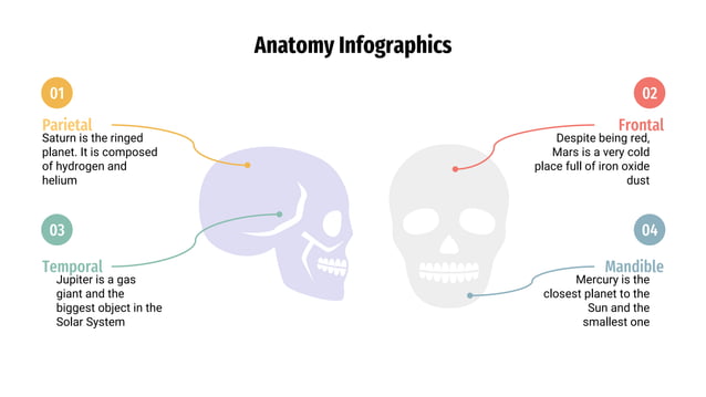 Anatomy Infographics by Slidego.pptx