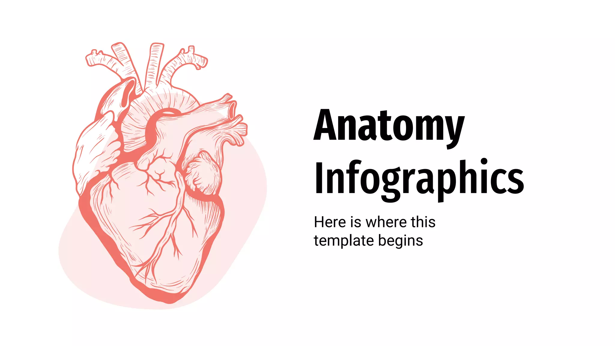 Anatomy Infographics by Slidego.pptx