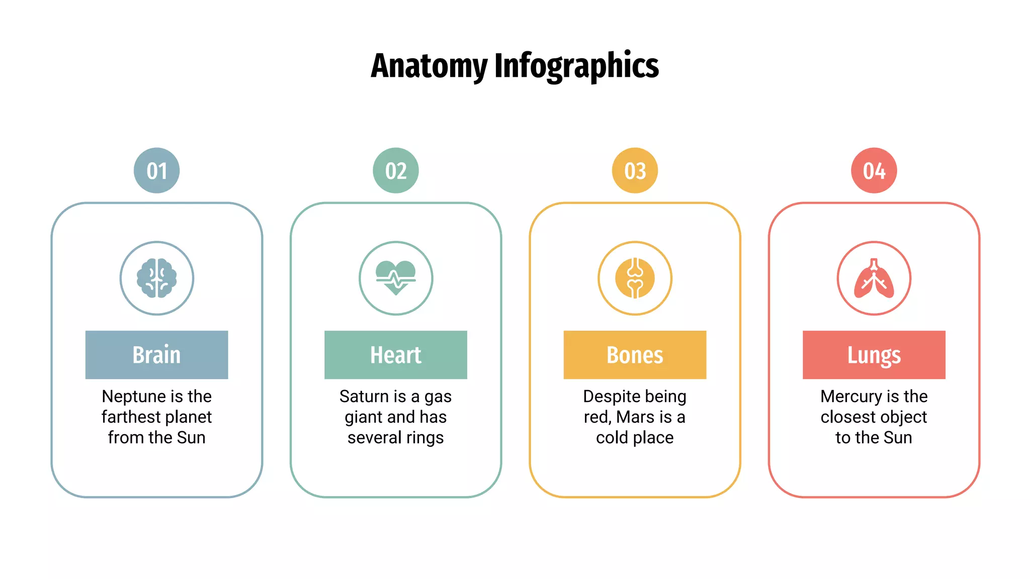 Anatomy Infographics by Slidego.pptx