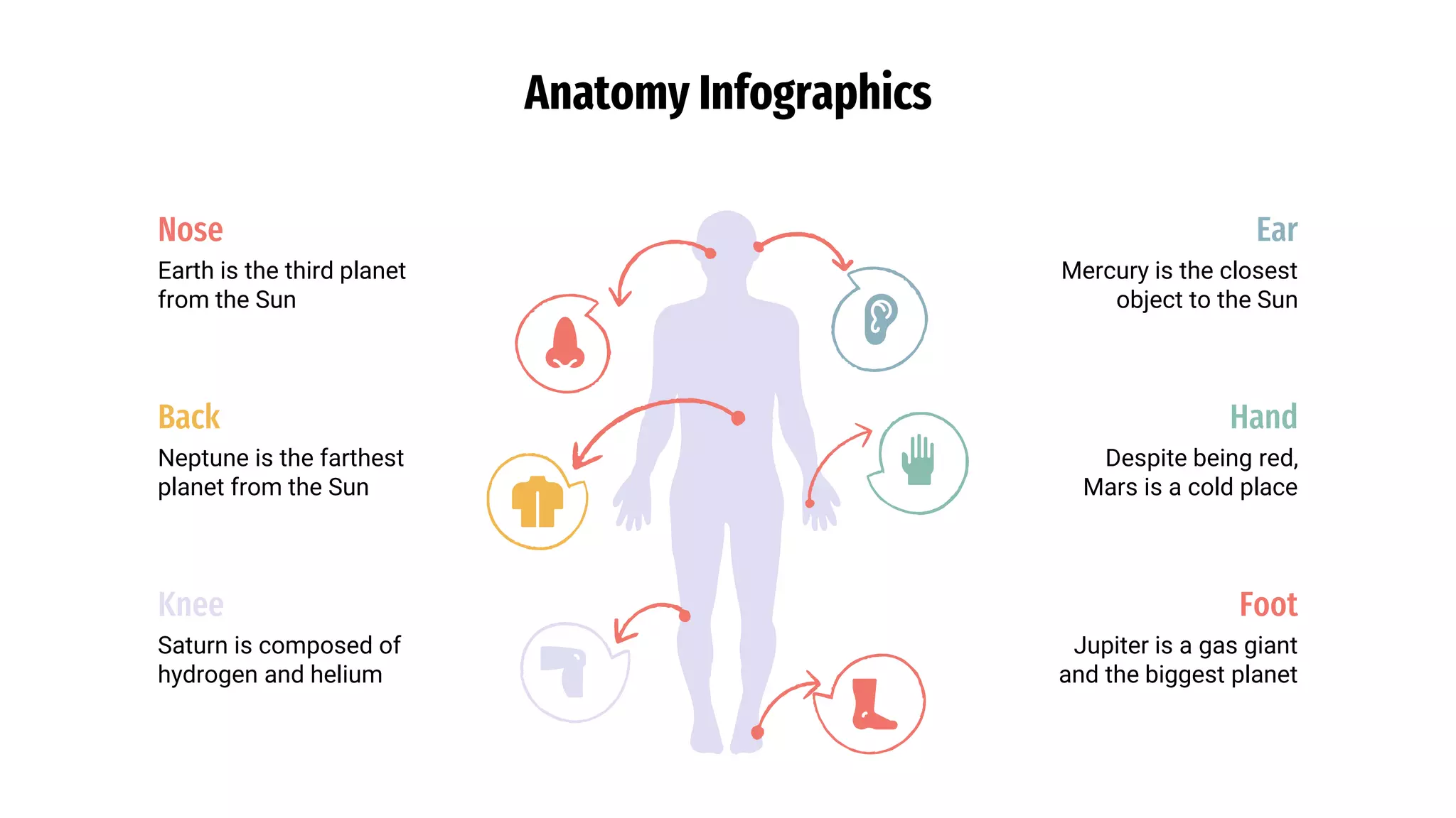 Anatomy Infographics by Slidego.pptx