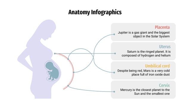 Anatomy Infographics by Slidego.pptx