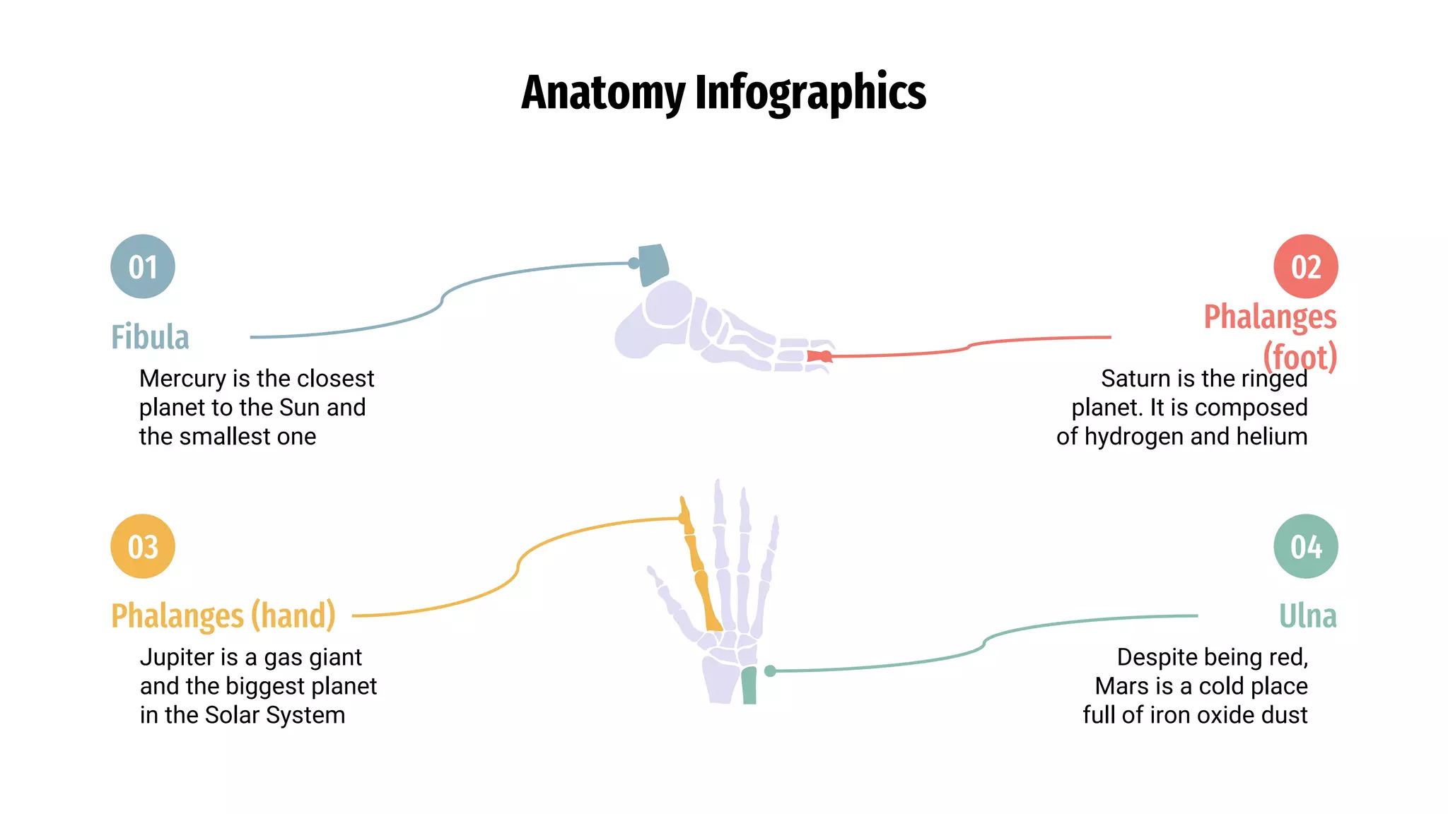 Anatomy Infographics by Slidego.pptx