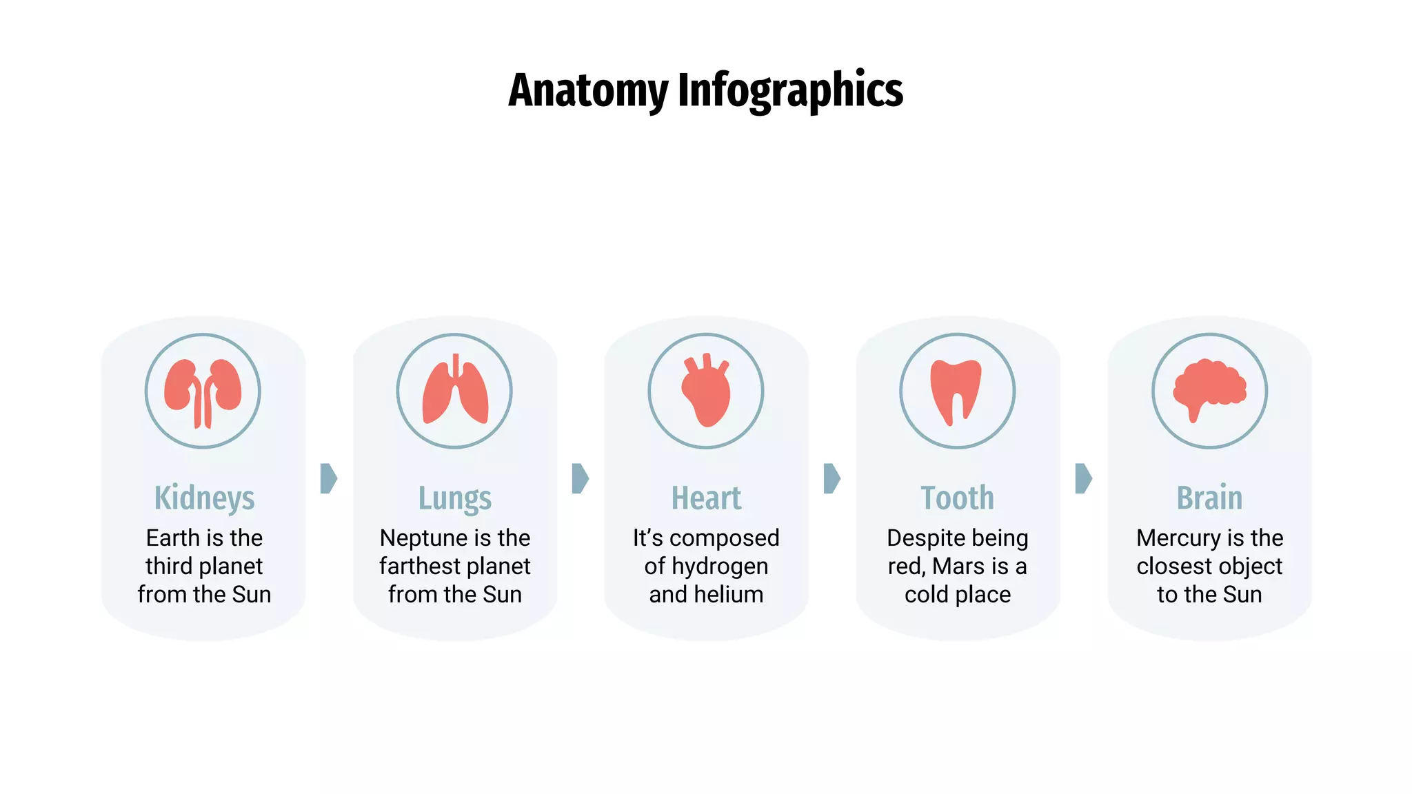 Anatomy Infographics by Slidego.pptx