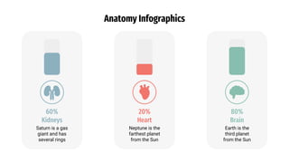 Anatomy Infographics by Slidego.pptx
