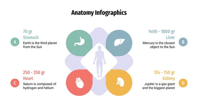 Anatomy Infographics by Slidego.pptx | Geology | Science