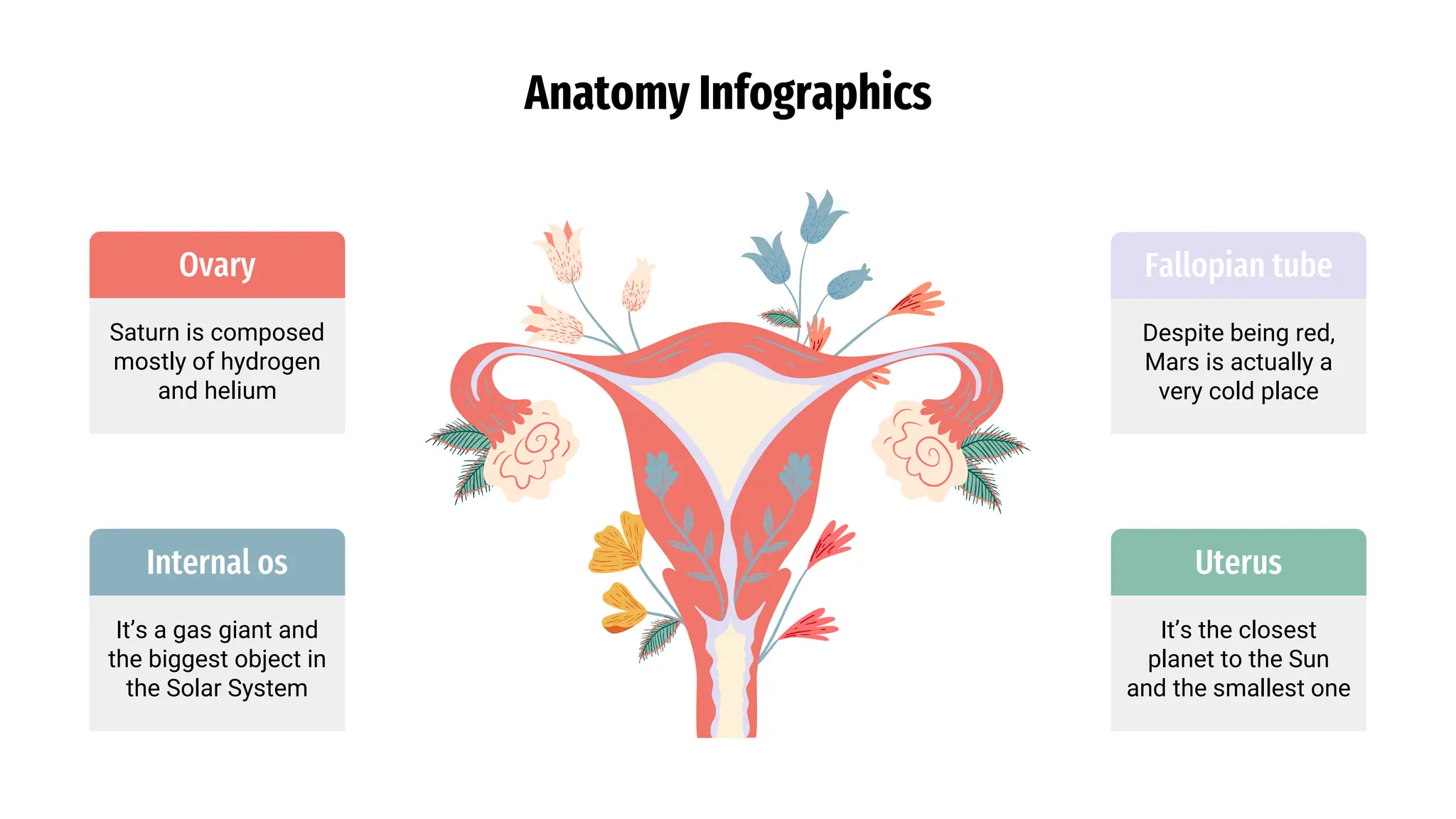 la presentacion Anatomy Infographics by Slidego.pptx