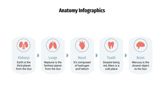 la presentacion Anatomy Infographics by Slidego.pptx