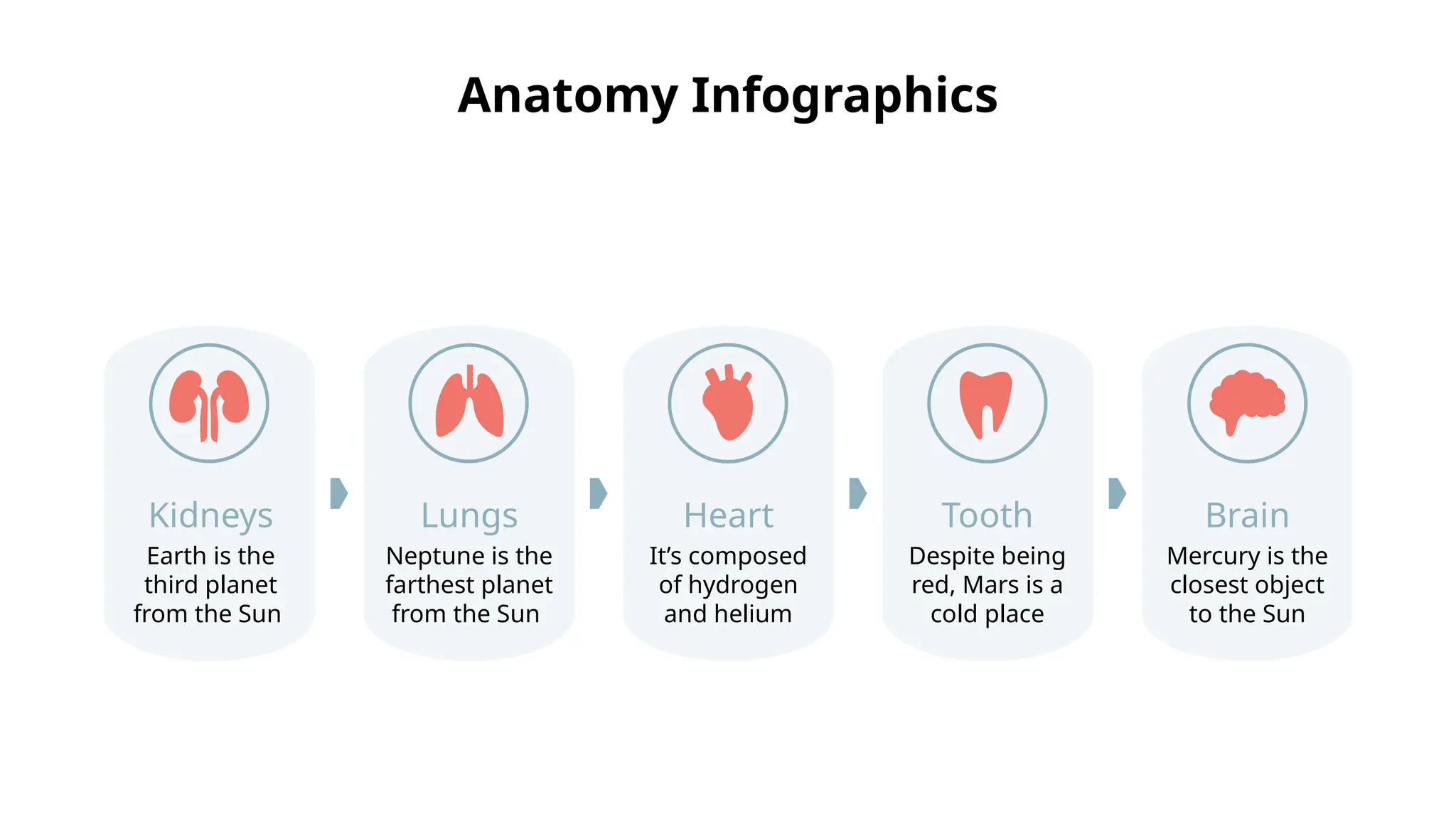 Anatomy Infographics powerpoint ptt to s | PPT