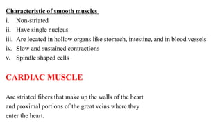 ANATOMY IN MUSCULAR SYSTEMS 01-1. pptx | PPTX
