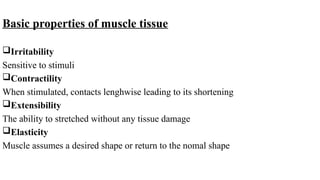 ANATOMY IN MUSCULAR SYSTEMS 01-1. pptx | PPT