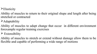 ANATOMY IN MUSCULAR SYSTEMS 01-1. pptx | PPT