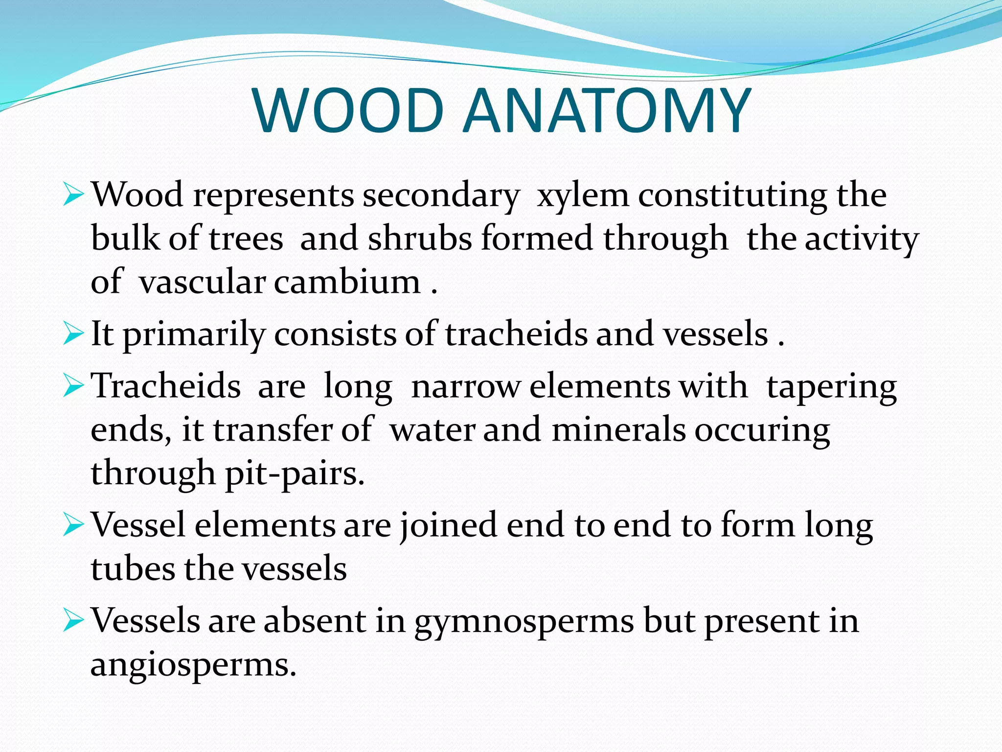 Anatomy in relation to taxonomy by venkat parker | PPTX