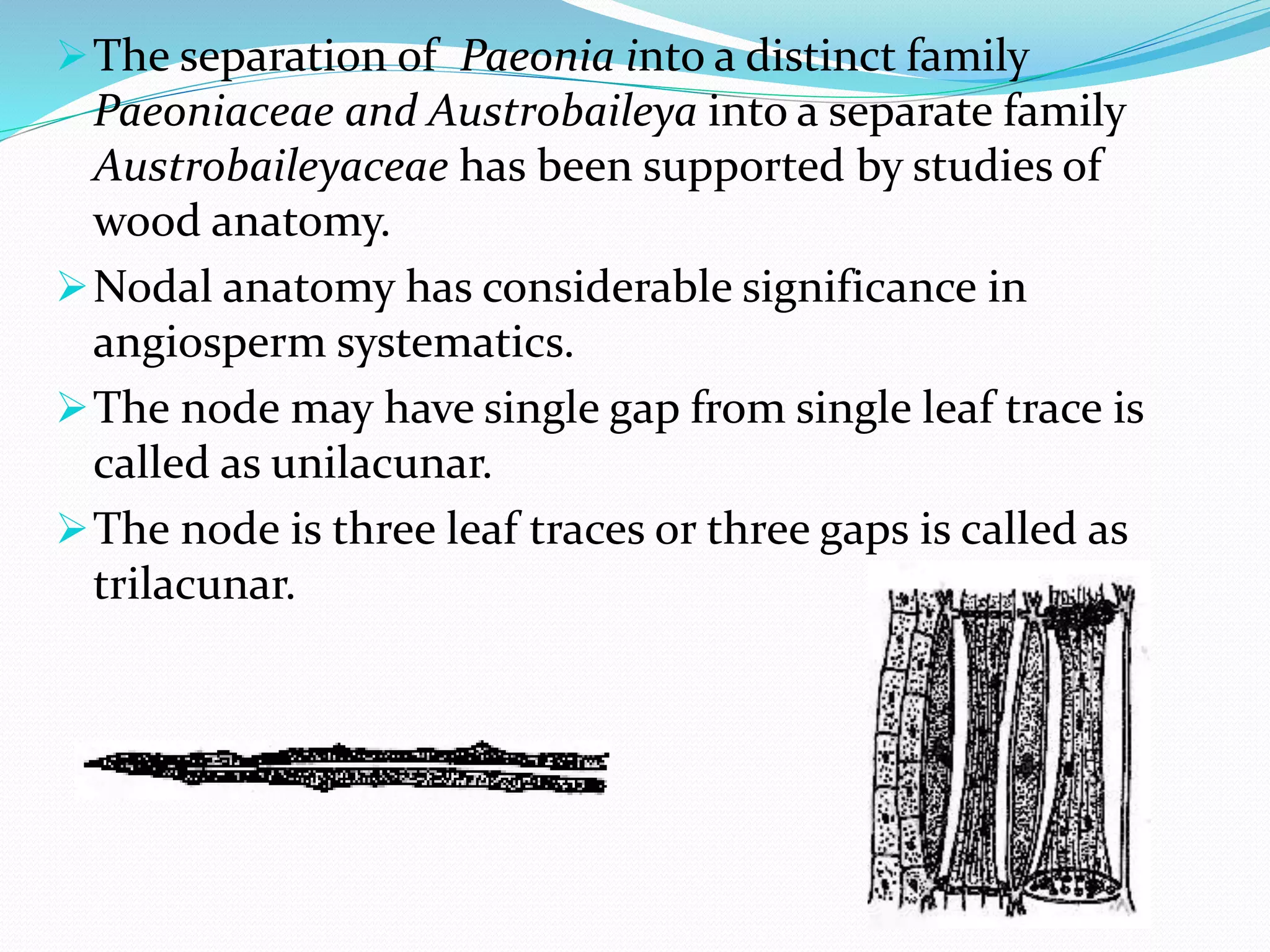Anatomy in relation to taxonomy by venkat parker | PPTX