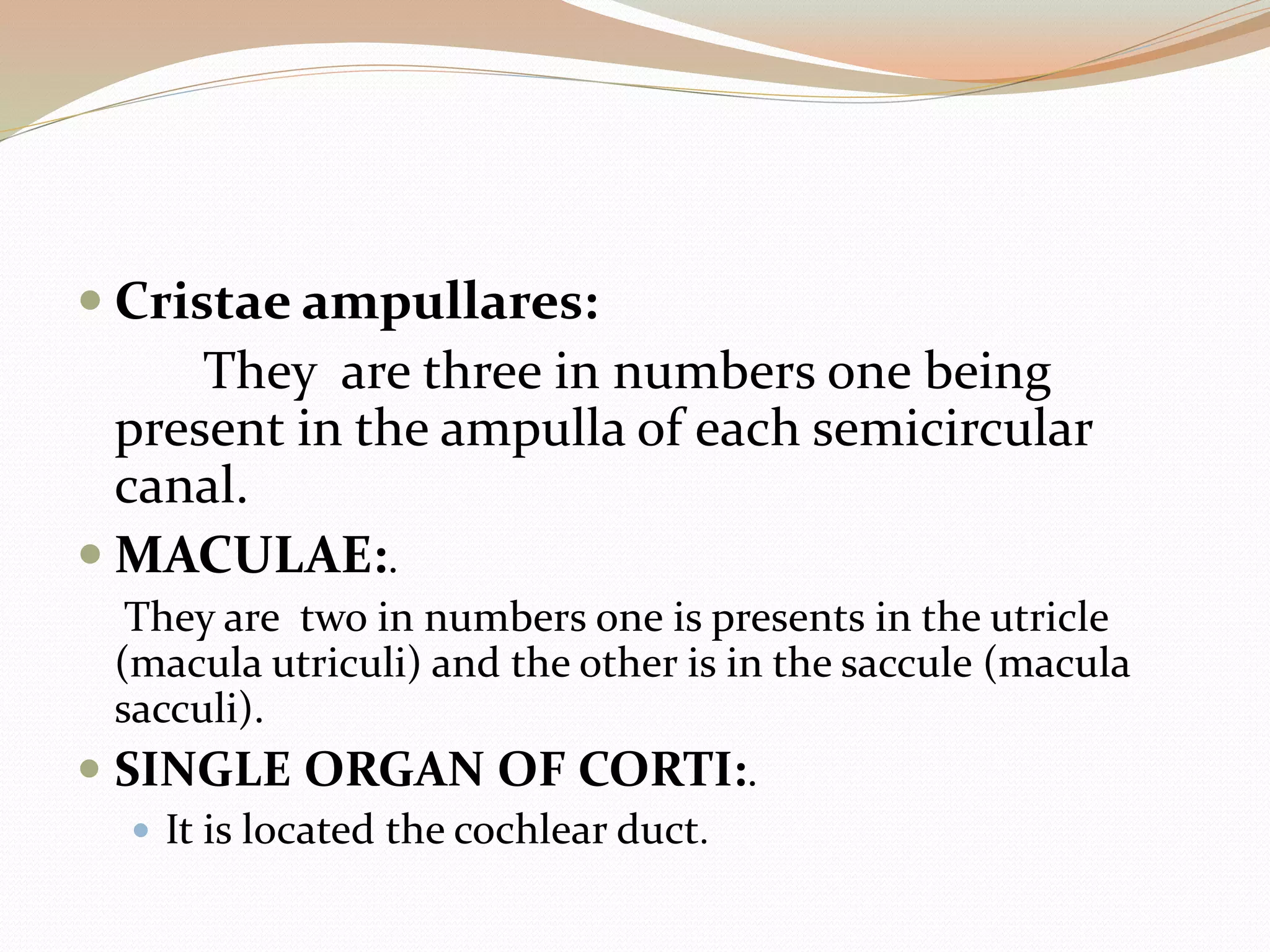 Anatomy internal ear | PPTX