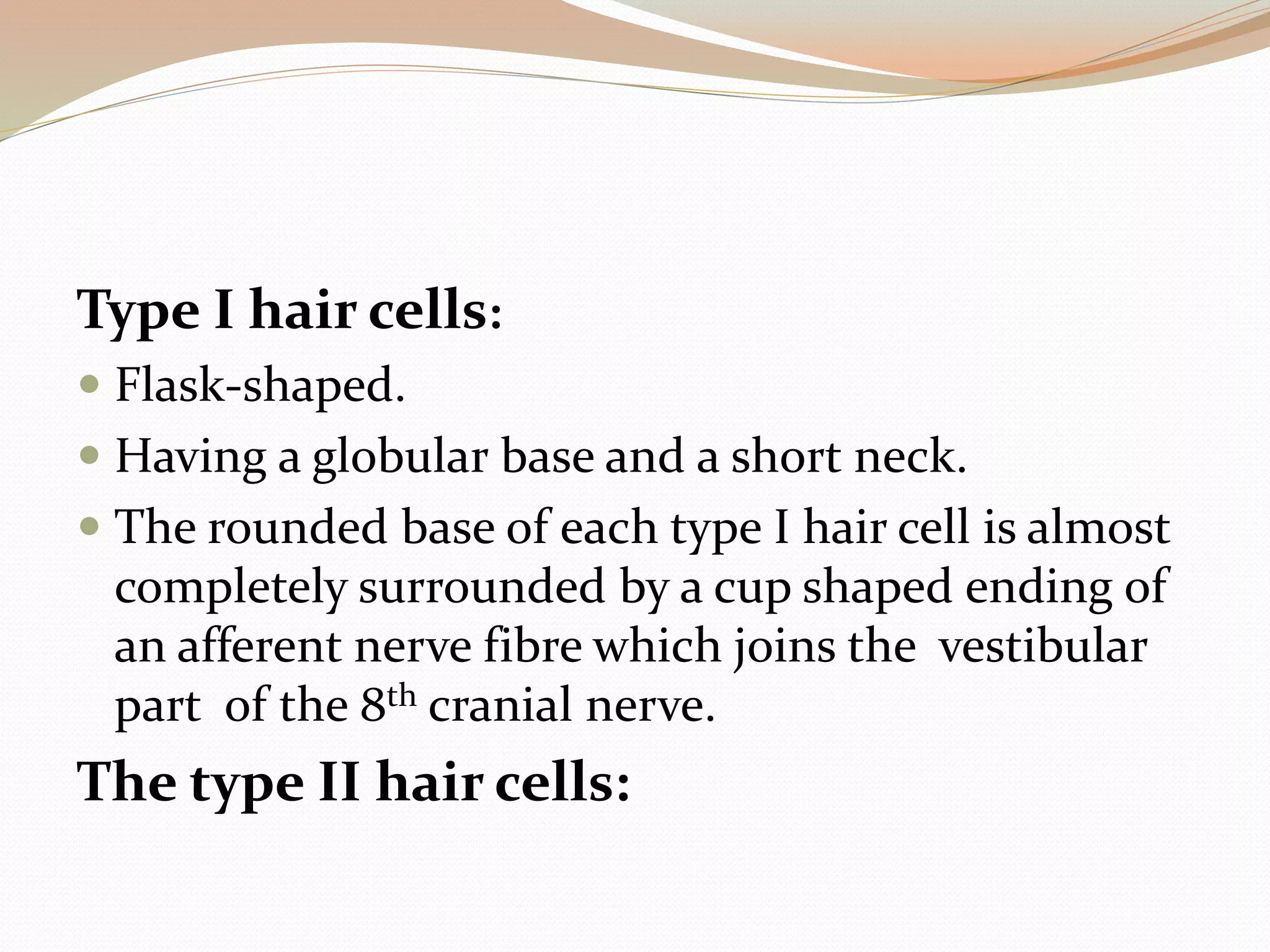 Anatomy internal ear | PPTX