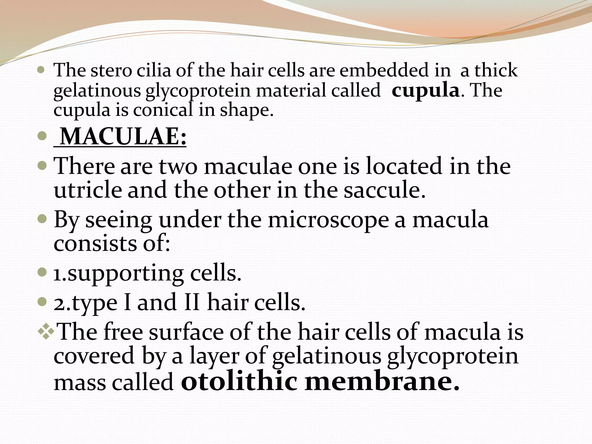Anatomy internal ear | PPTX
