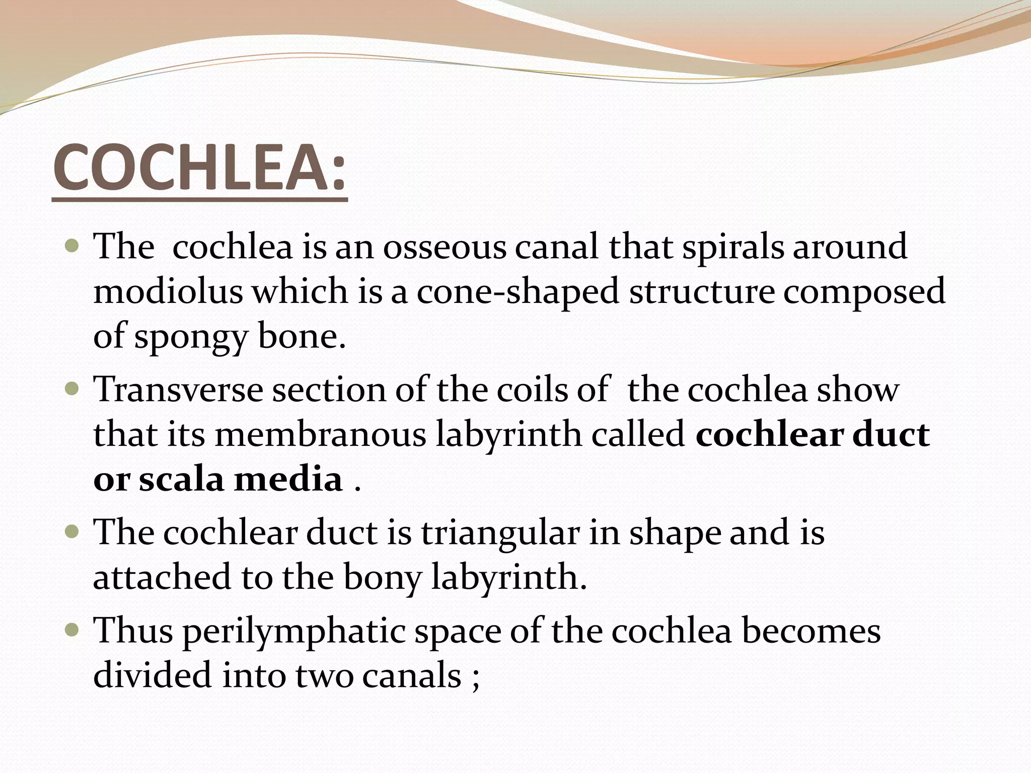 Anatomy internal ear | PPTX