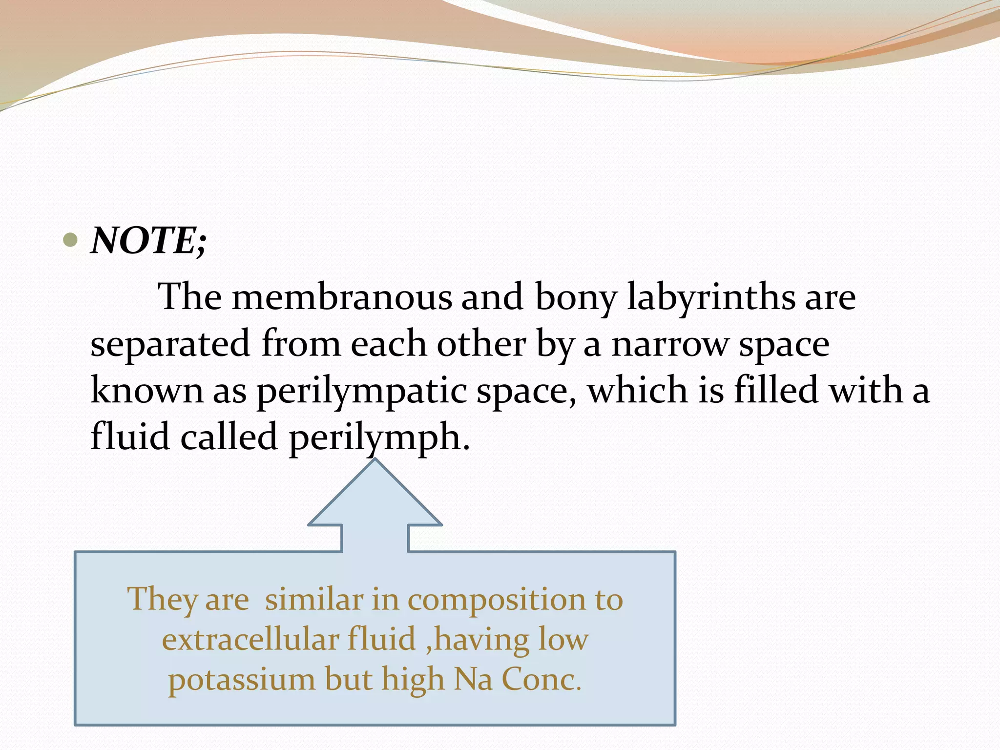 Anatomy internal ear | PPTX