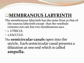 Anatomy internal ear | PPTX