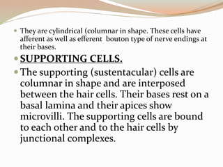 Anatomy internal ear | PPTX