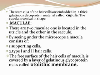 Anatomy internal ear | PPTX