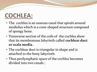 Anatomy internal ear | PPTX