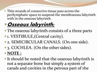 Anatomy internal ear | PPTX