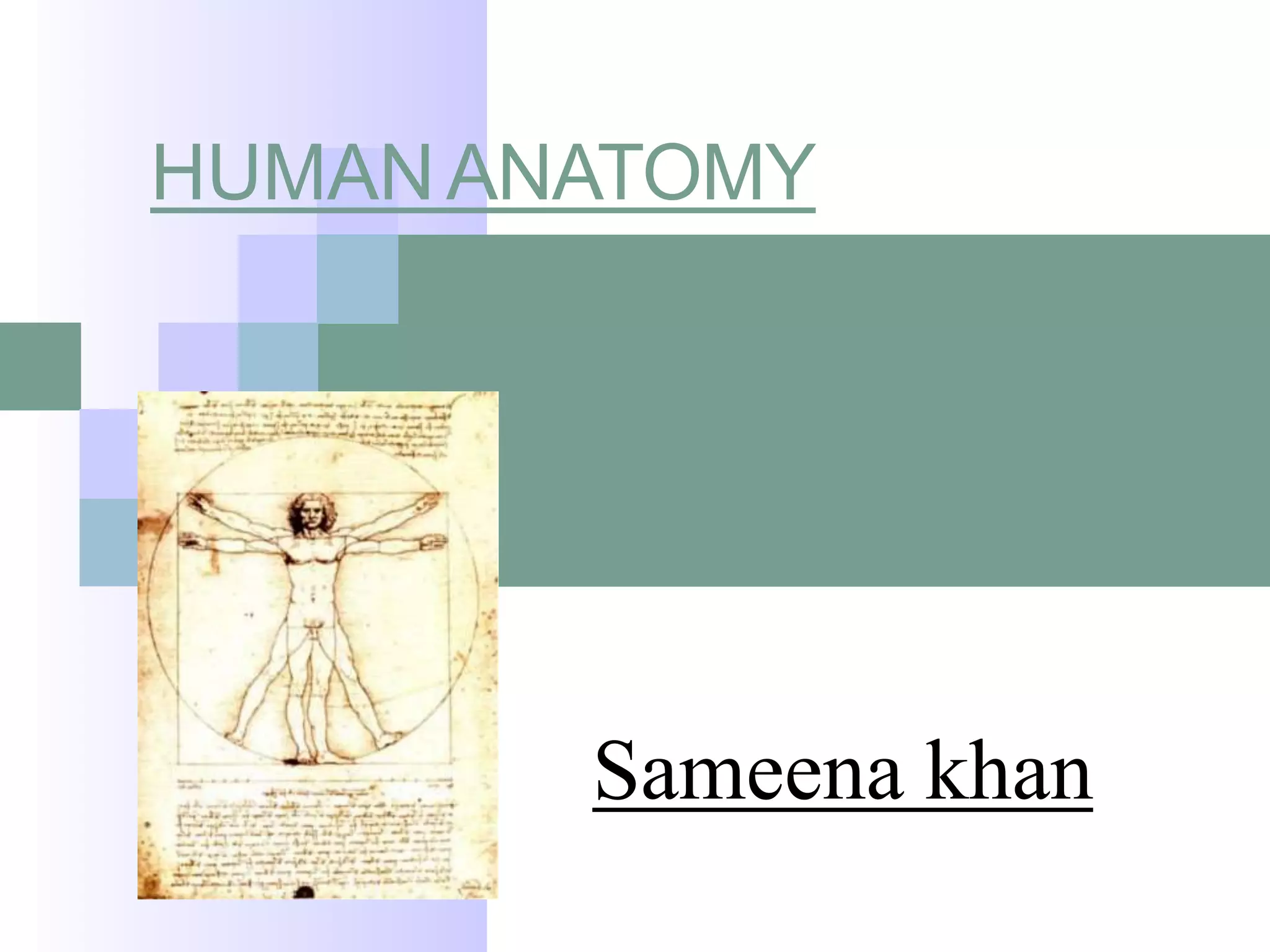 ANATOMY INTRO.pptx