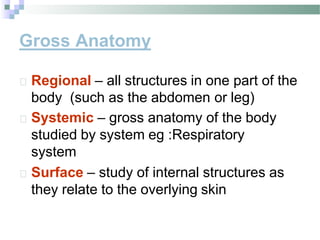 ANATOMY INTRO.pptx