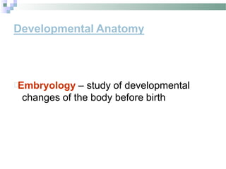 ANATOMY INTRO.pptx
