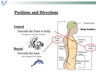 anatomyintro-230110134713-af447fb7 2.pdf