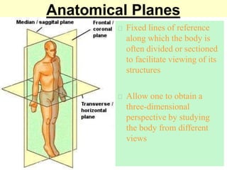 anatomyintro-230110134713-af447fb7 2.pdf