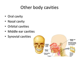 Anatomy introduction SlideShare | PPTX